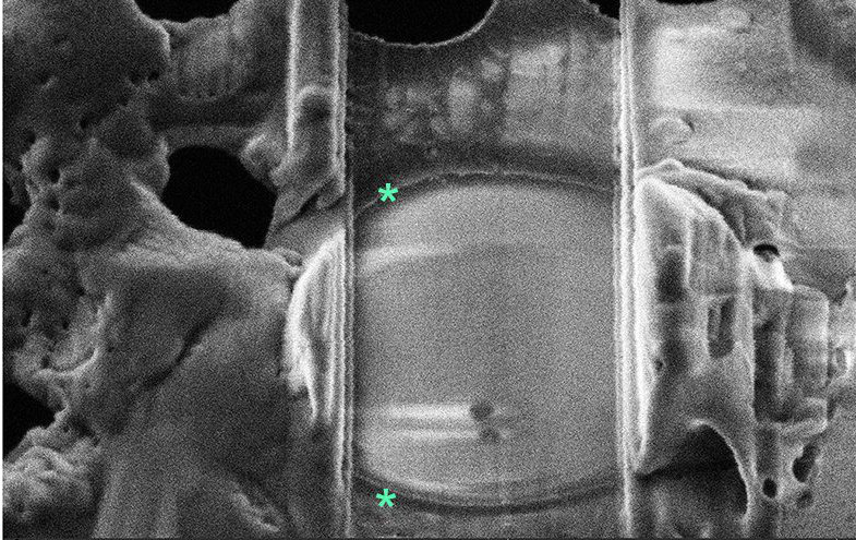 Cryo-Electron Tomography